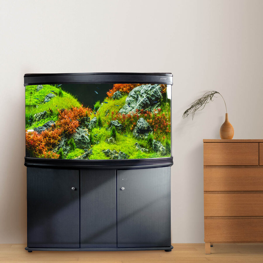 Acuarios BOYU Serie LH: el kit nº1 de acuario