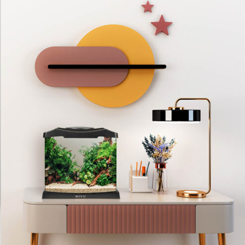 Acuario BOYU DSN-315 para bettas y pequeños peces